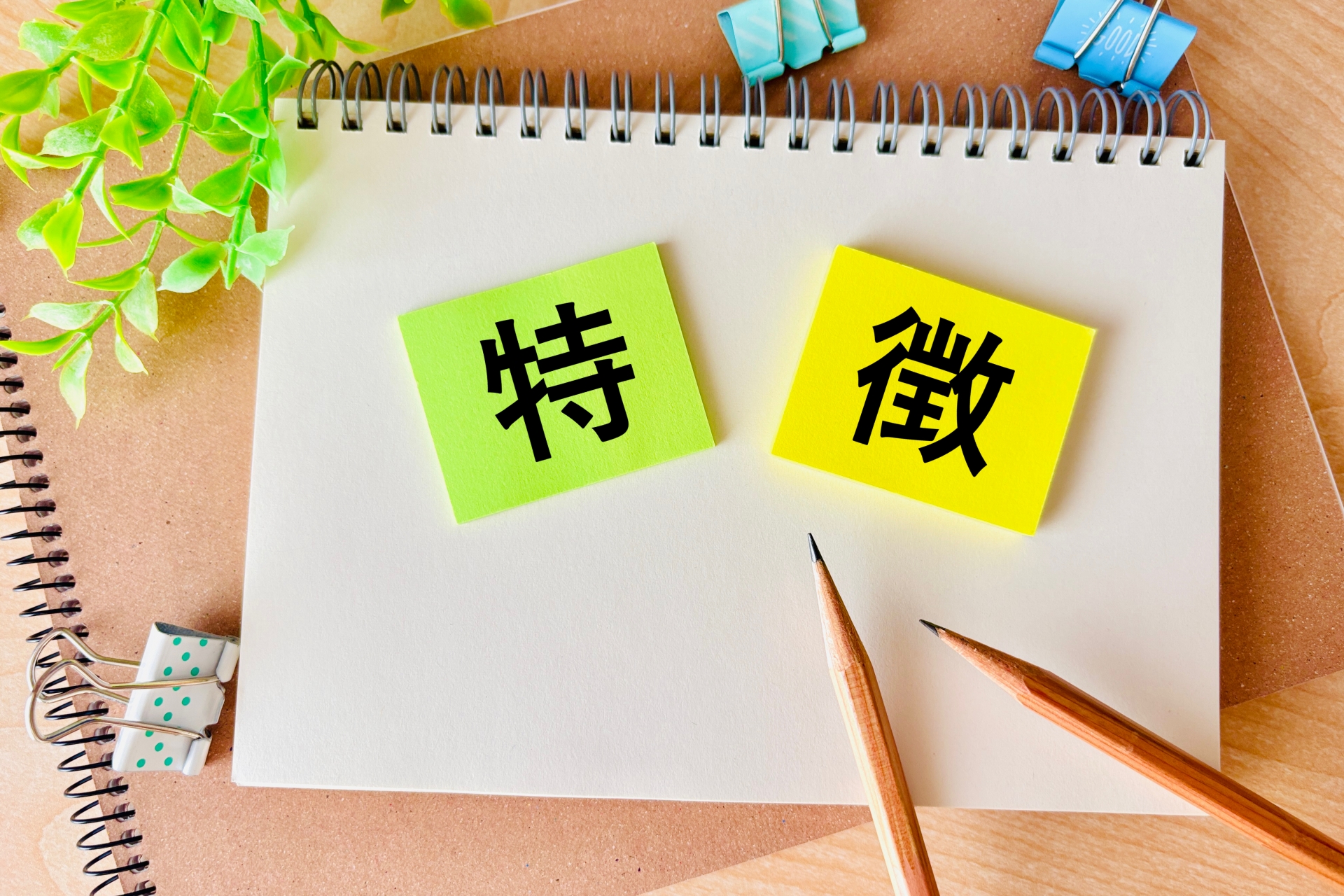 ケンムンって何者？正体や目撃情報、怖い話を徹底解説 | 奄美ツアーズ